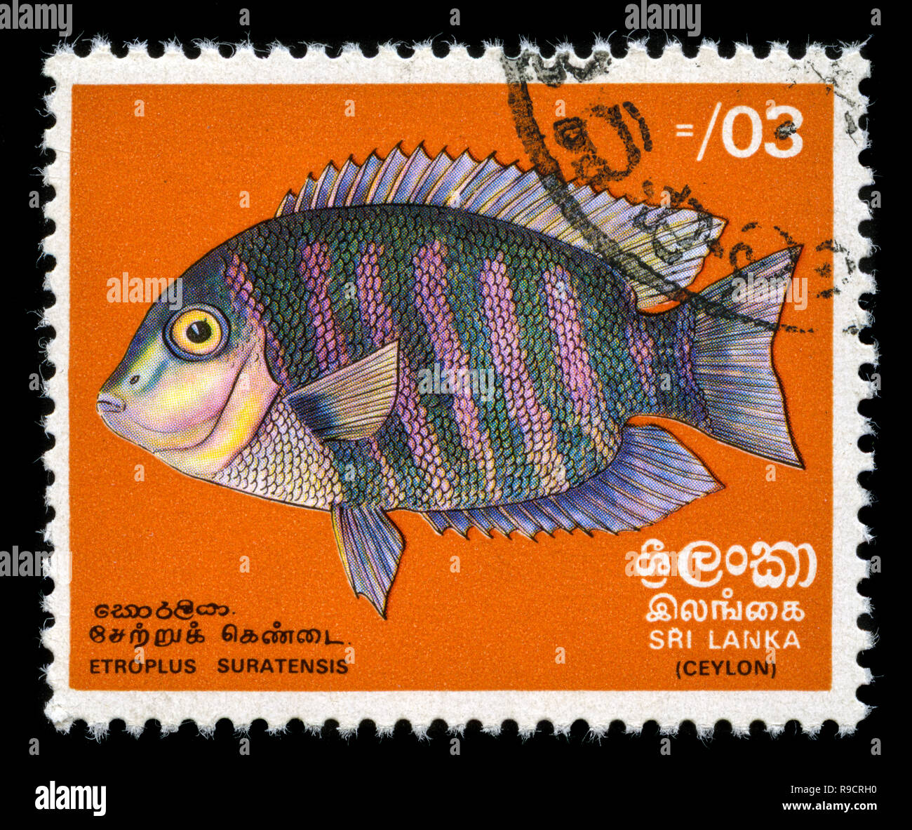 Old Stamps For Sale In Sri Lanka at Isaac Dadson blog