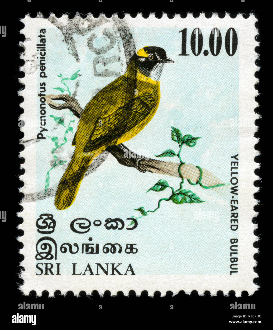 Old Stamps For Sale In Sri Lanka at Isaac Dadson blog