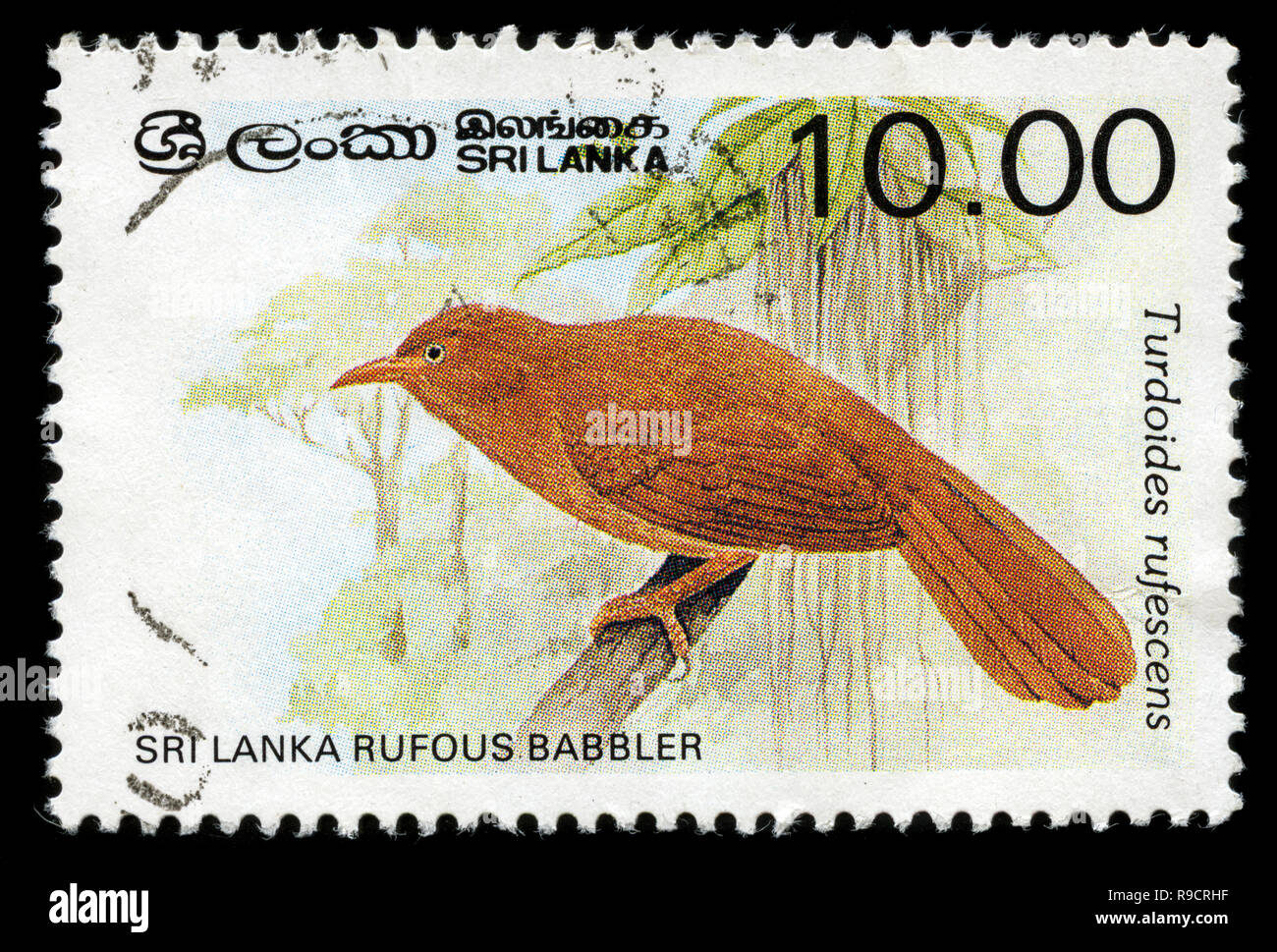 Postage stamp from Sri Lanka in the Birds 1987 series Stock Photo - Alamy