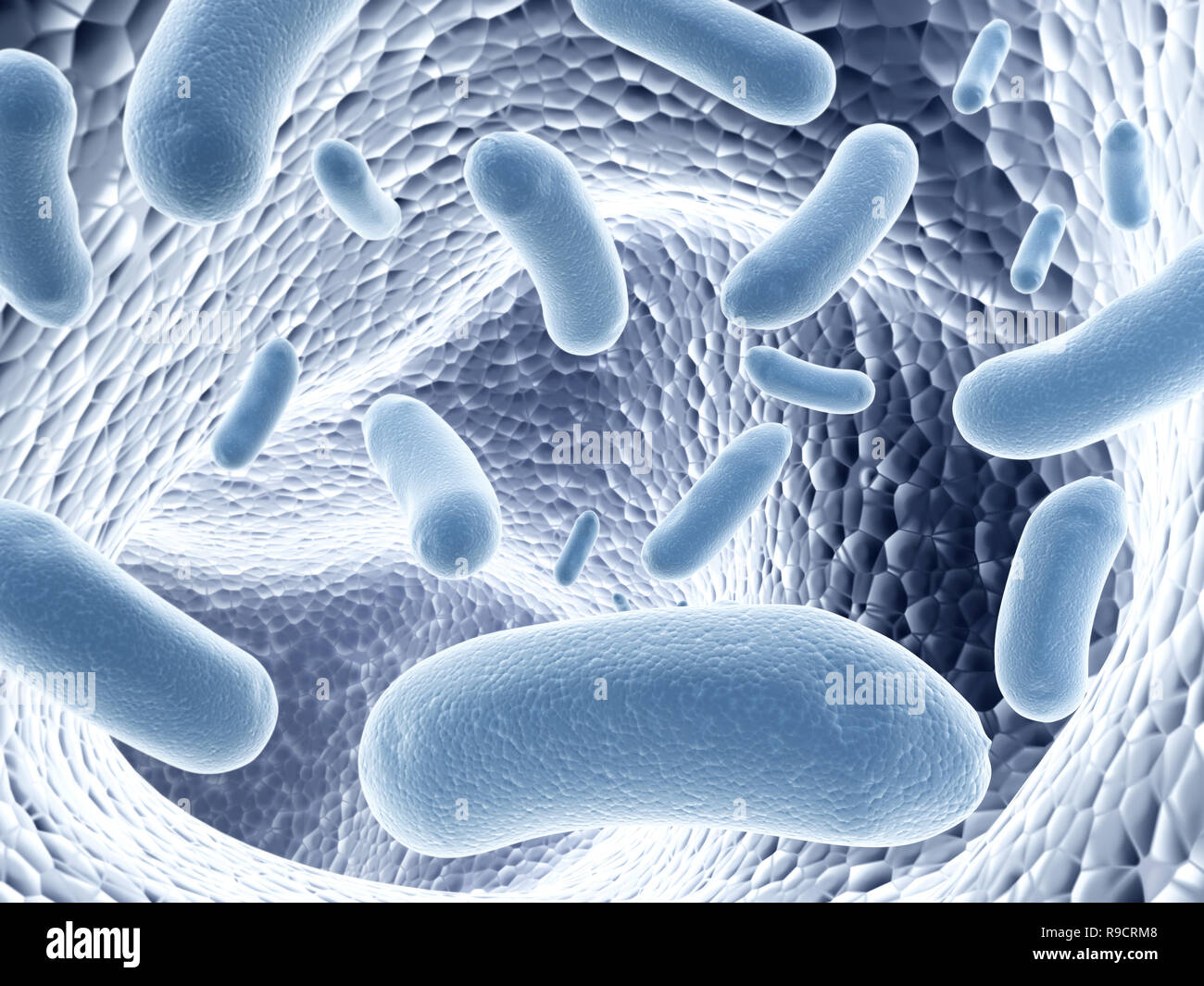 Colony of pathogen bacteria - 3d render Stock Photo - Alamy