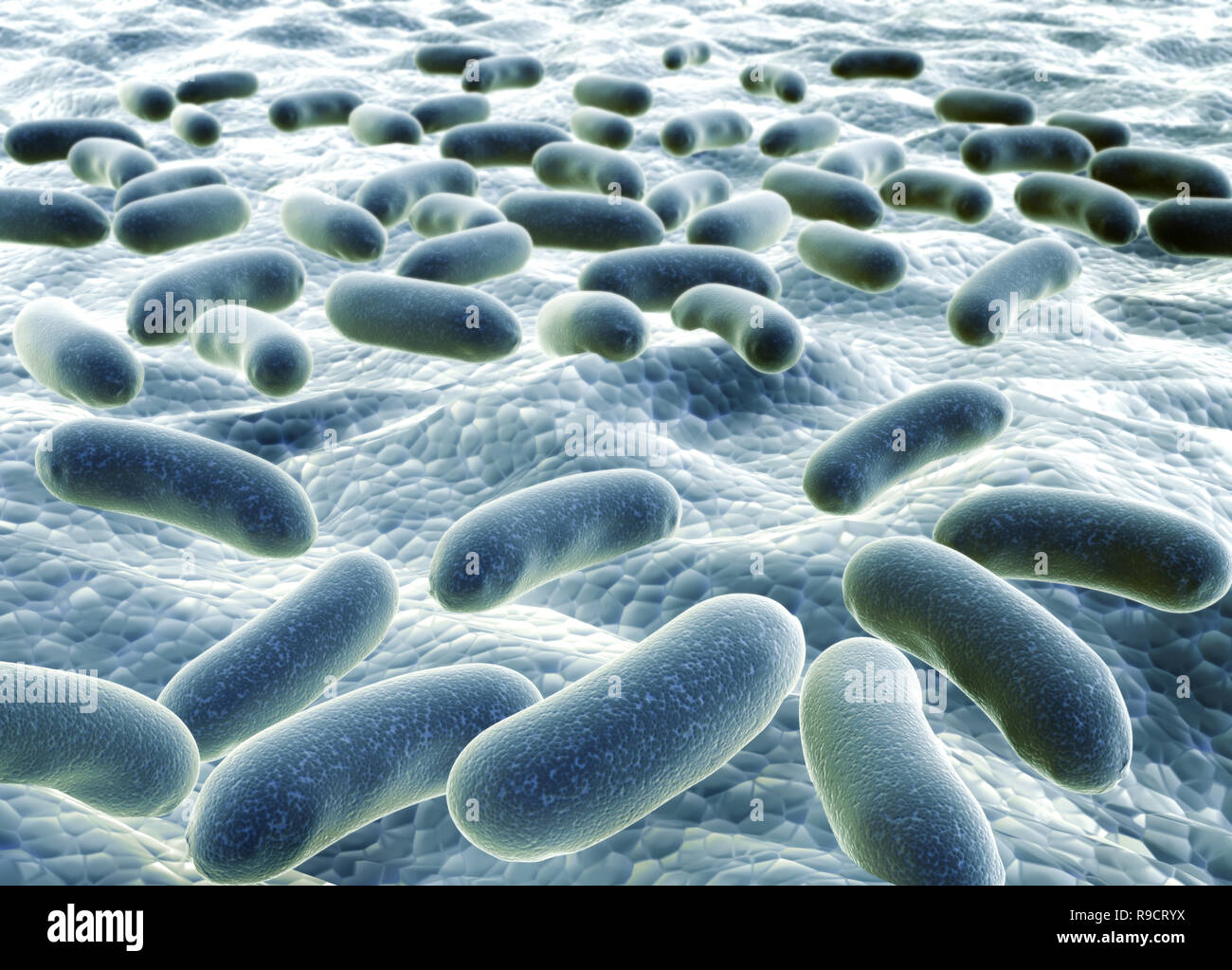 Colony of pathogen bacteria - 3d render Stock Photo - Alamy