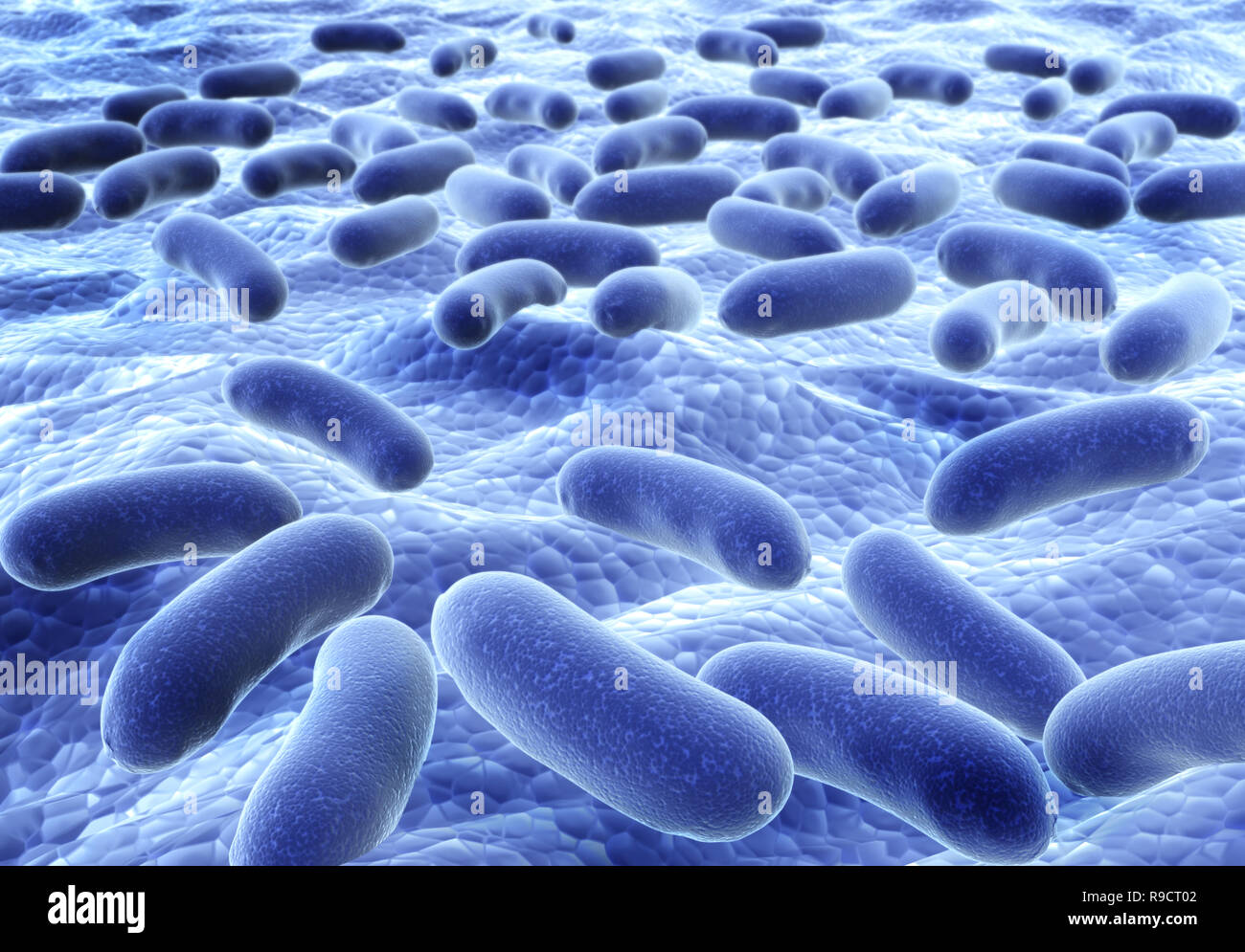 Colony of pathogen bacteria - 3d render Stock Photo - Alamy