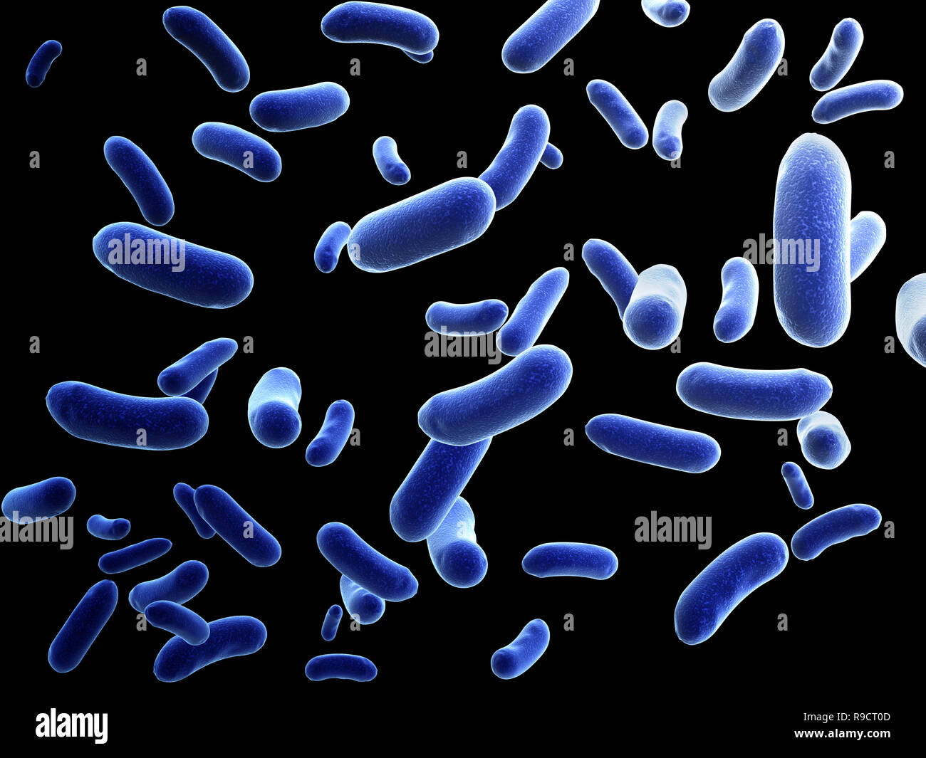 Colony of pathogen bacteria - 3d render Stock Photo - Alamy