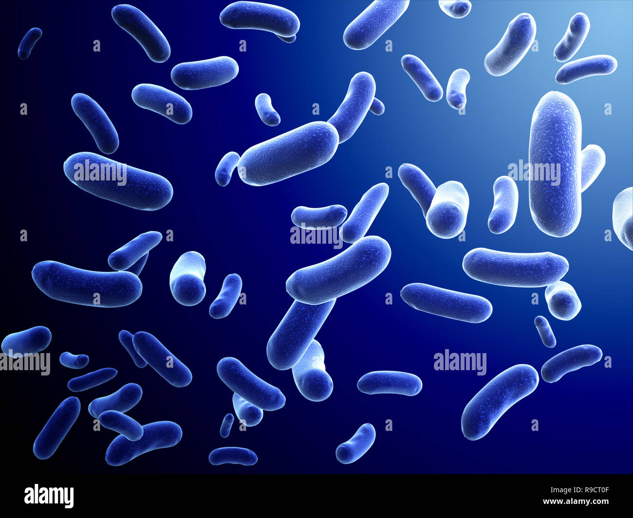 Colony of pathogen bacteria - 3d render Stock Photo - Alamy