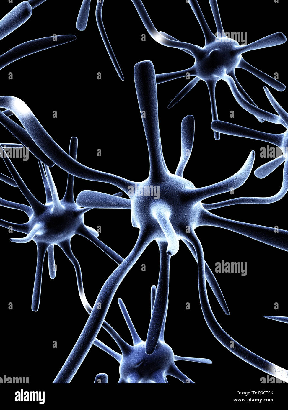 Ganglion neurons hi-res stock photography and images - Alamy