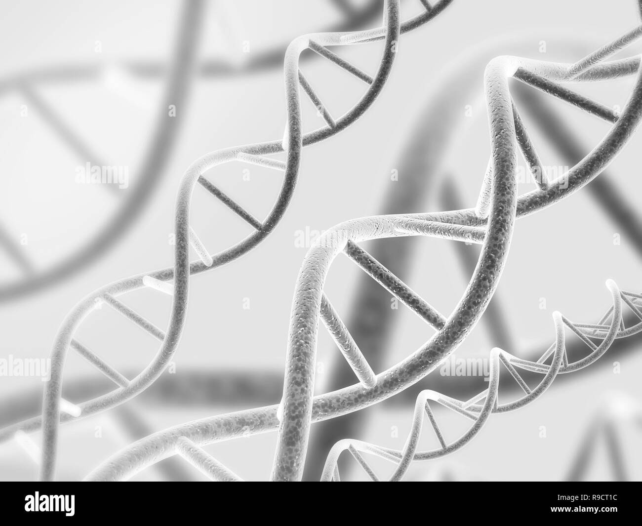 Digital 3d model of DNA structure. Black and white Stock Photo - Alamy
