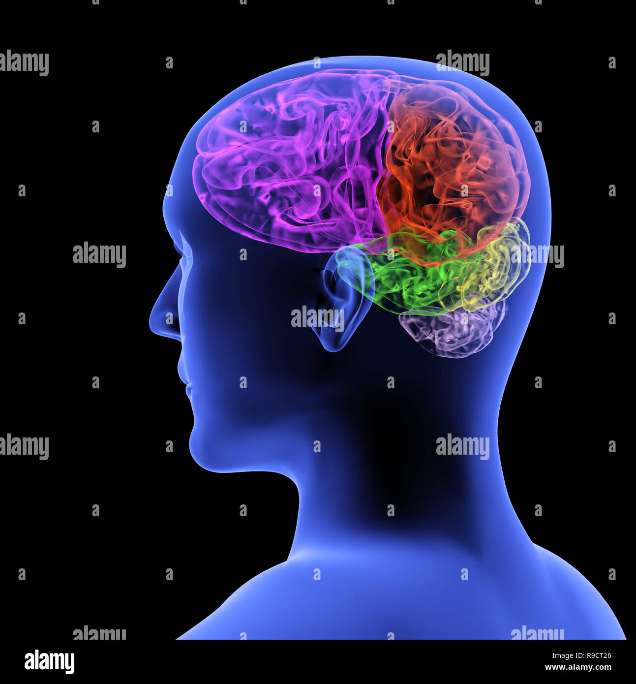 Transparent 3d head of the person - x-ray. On black background Stock ...