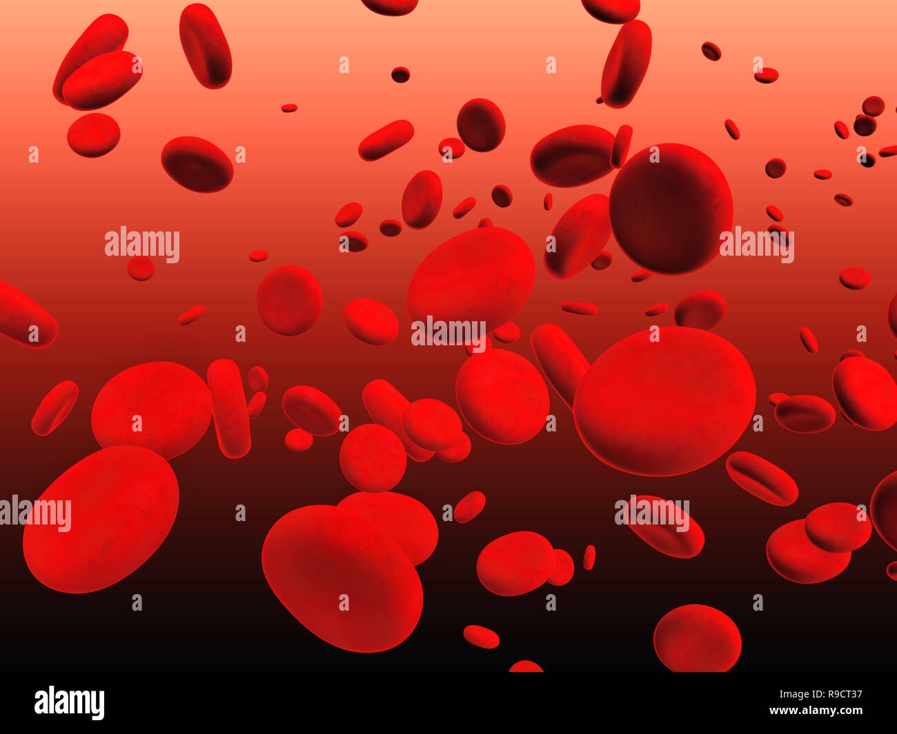 Blood. Many red erythrocytes, floating on an artery Stock Photo - Alamy