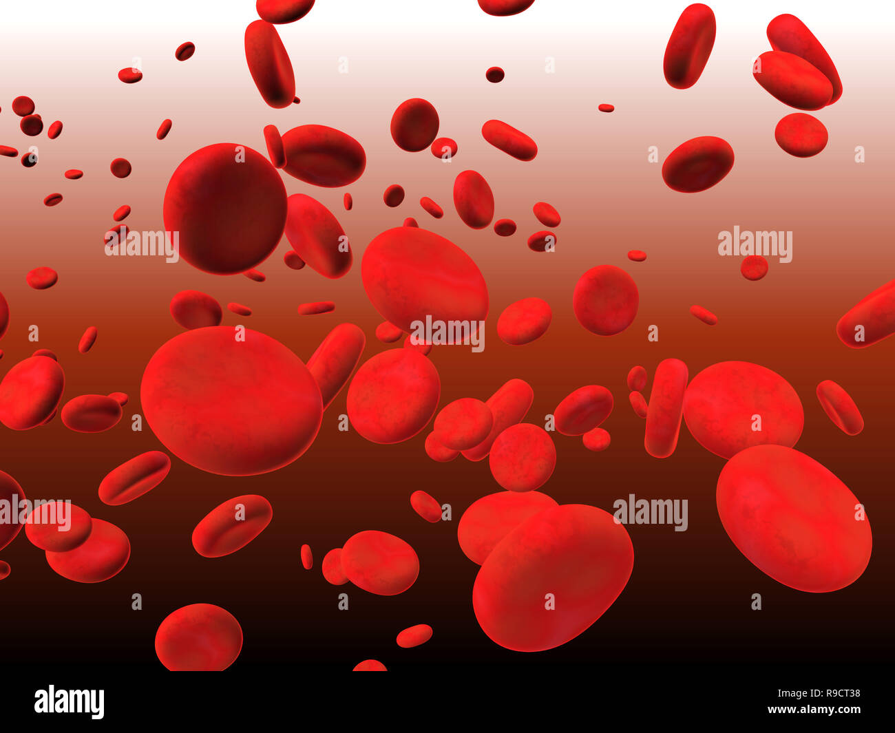 Blood. Many red erythrocytes, floating on an artery Stock Photo - Alamy