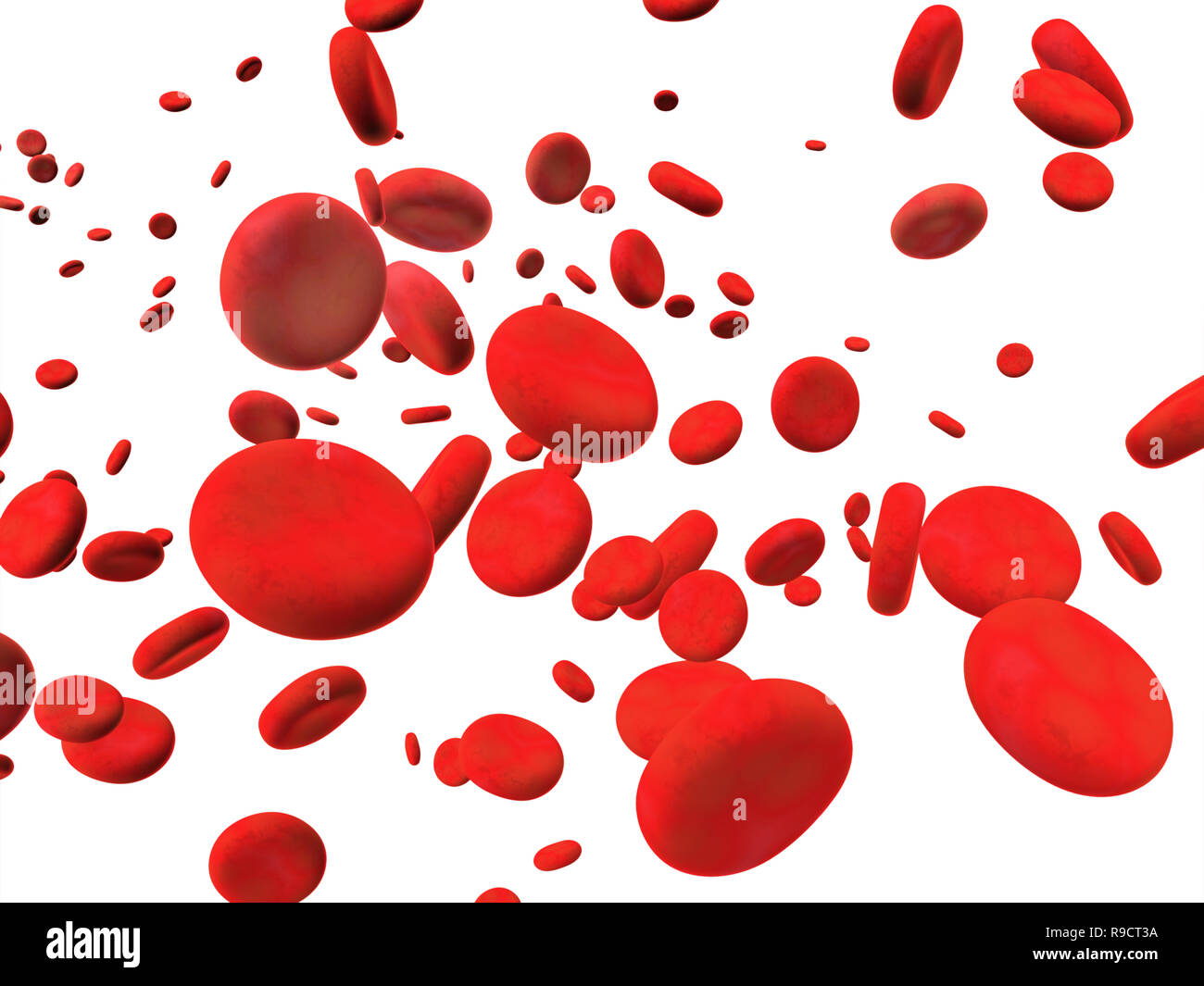 Many red erythrocytes. Isolated on white background Stock Photo - Alamy