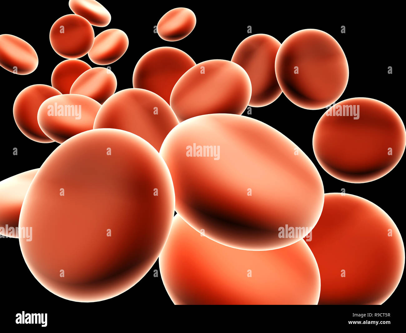 Blood. Many red erythrocytes, floating on an artery Stock Photo - Alamy