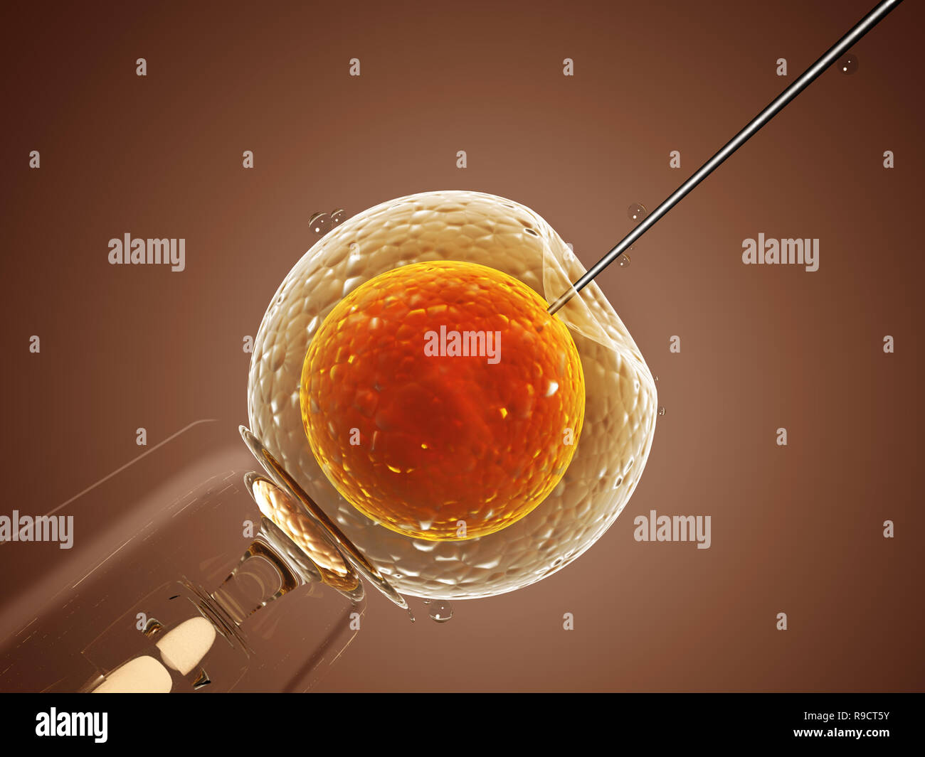 Artificial insemination animal hi-res stock photography and images - Alamy