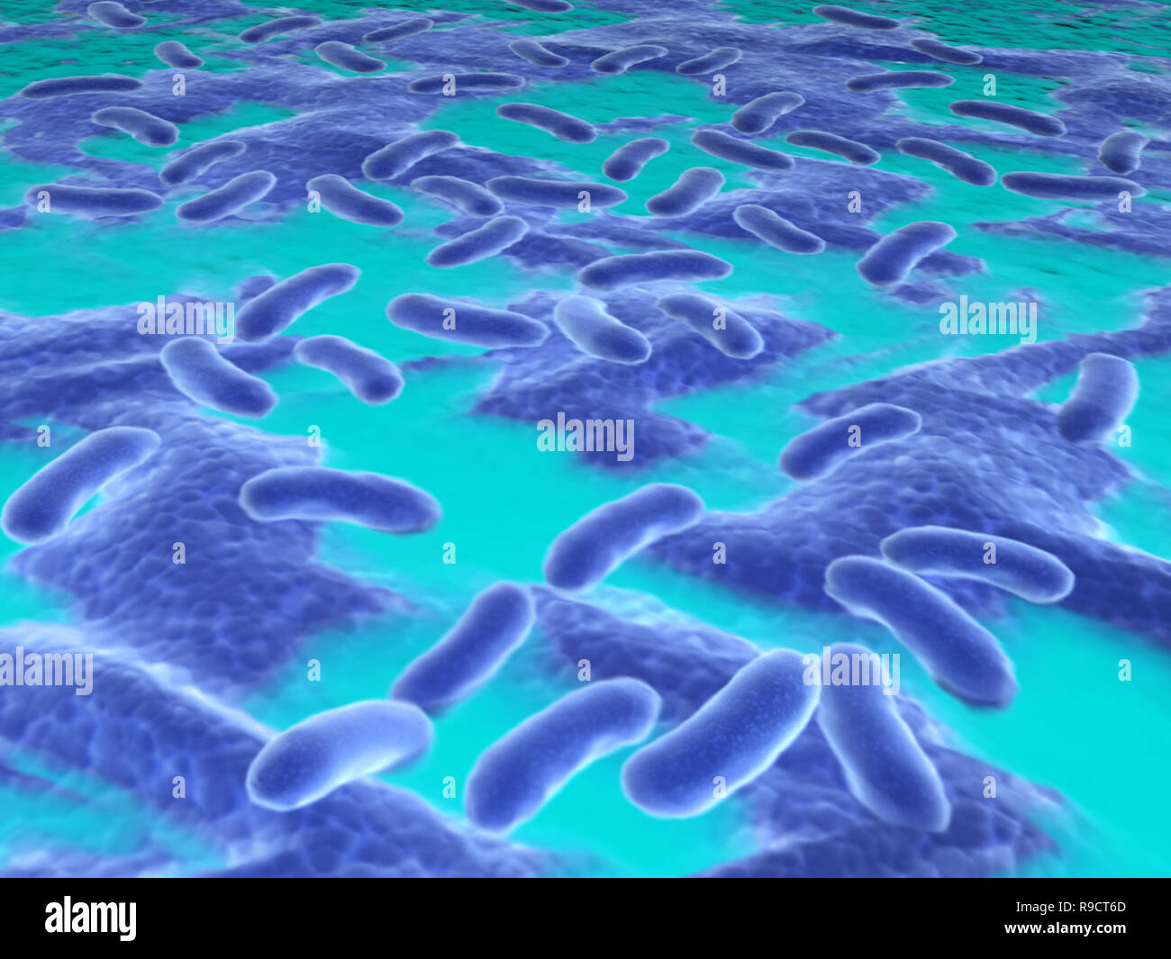 Bacteria in the liquid Stock Photo - Alamy