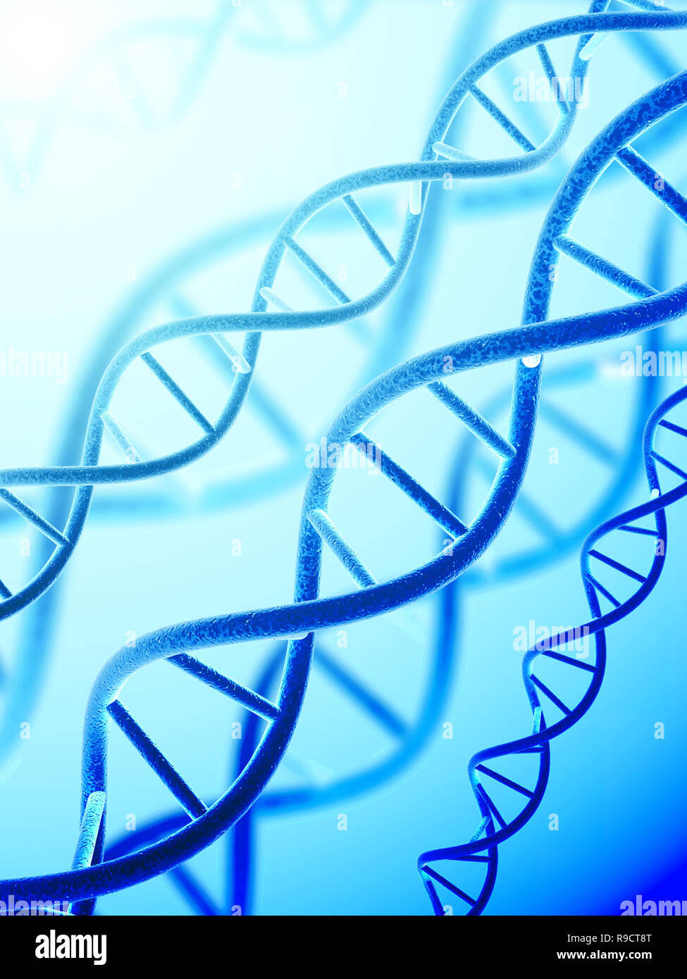 Digital 3d model hi-res stock photography and images - Alamy