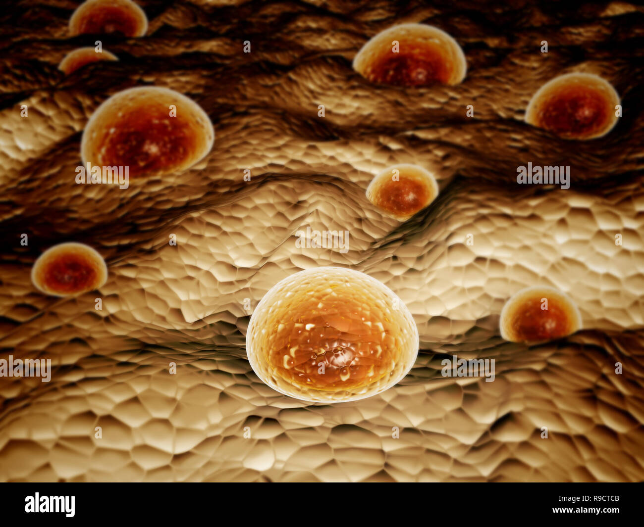 Pathogenic bacteria hi-res stock photography and images - Alamy
