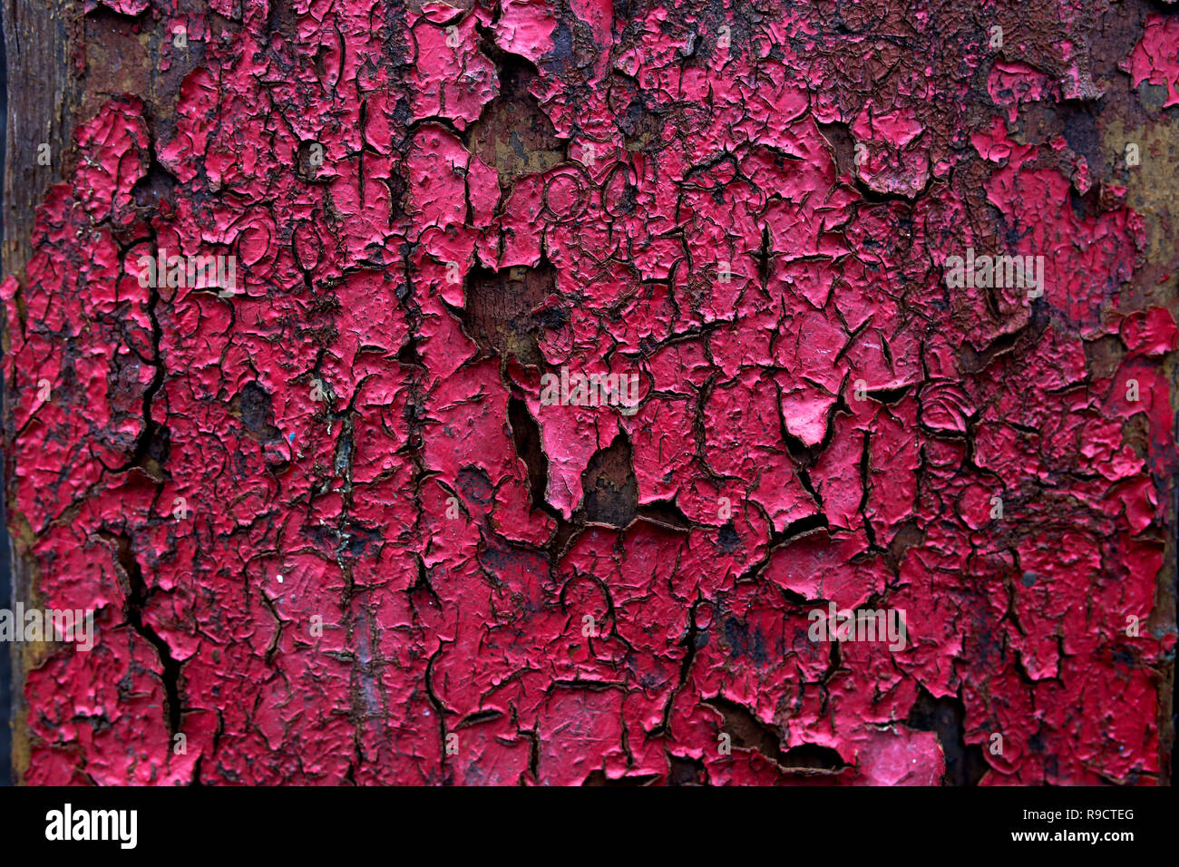 texture of old peeling red paint on the Board. background Stock Photo ...