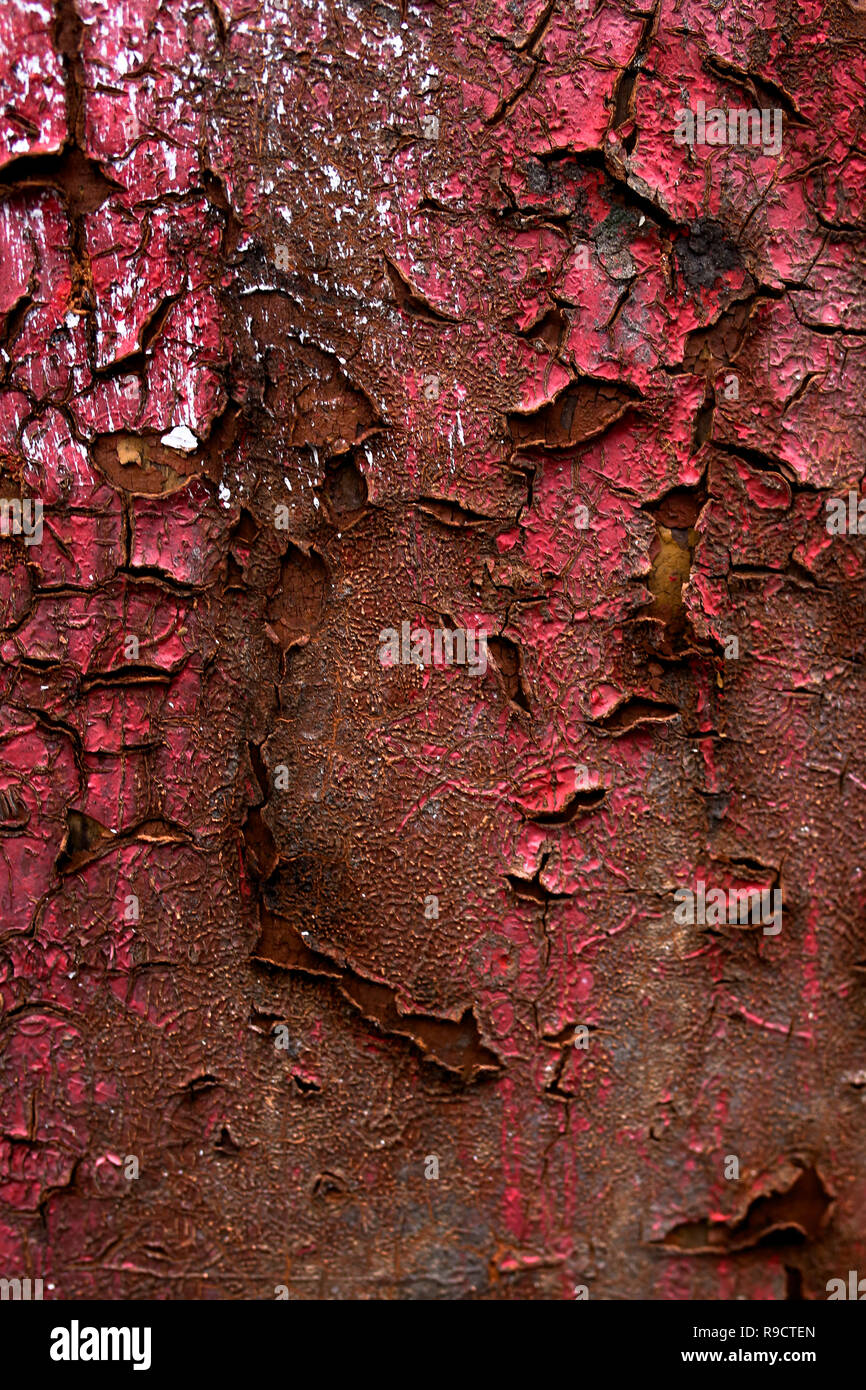 texture of old peeling red paint on the Board. background Stock Photo ...