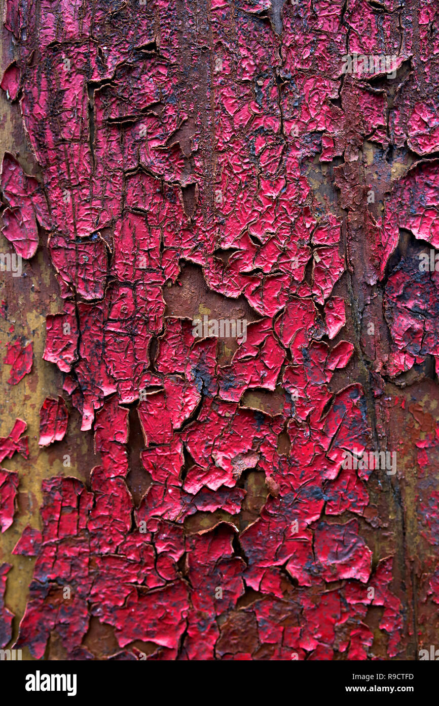 texture of old peeling red paint on the Board. background Stock Photo ...
