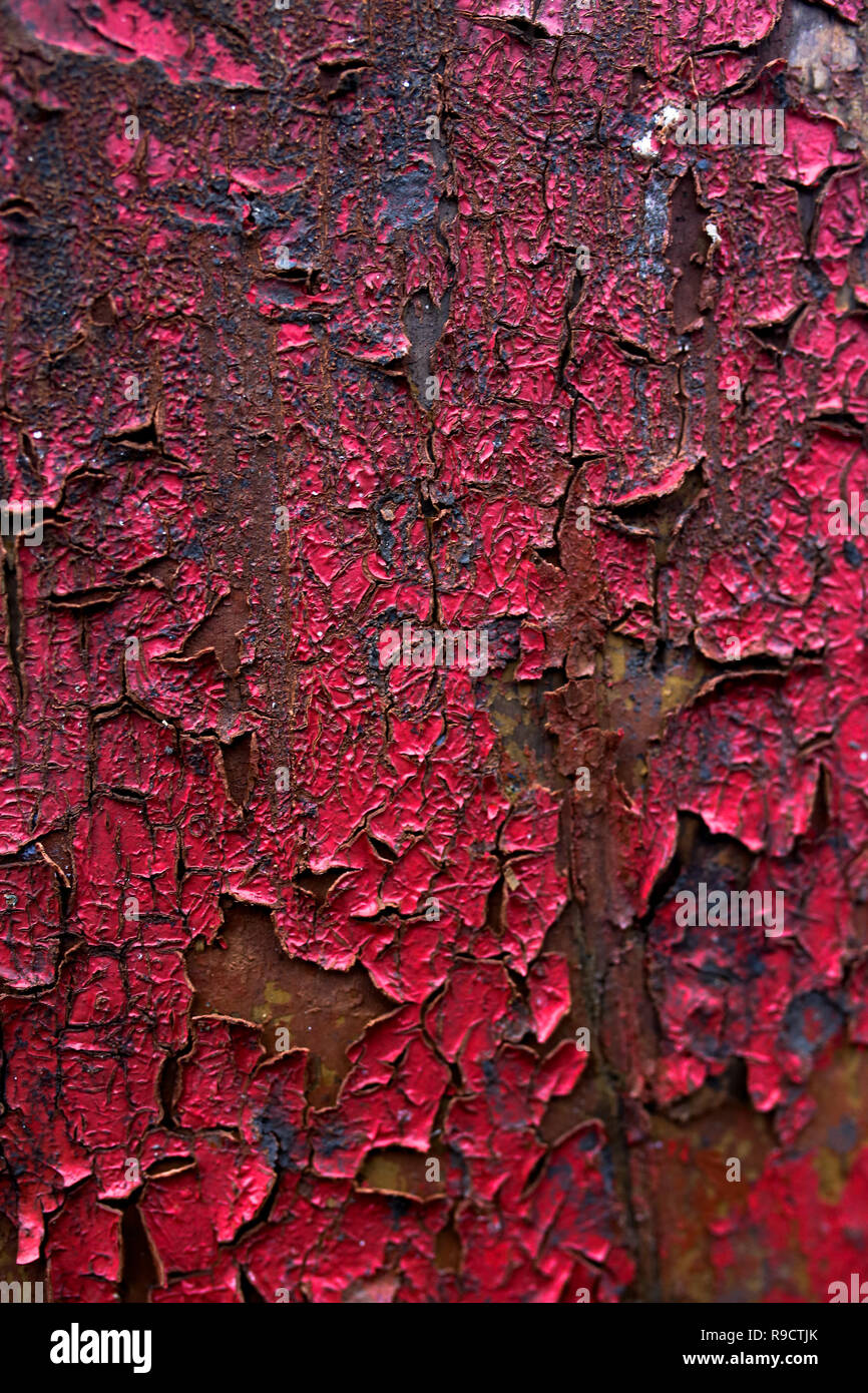 texture of old peeling red paint on the Board. background Stock Photo ...
