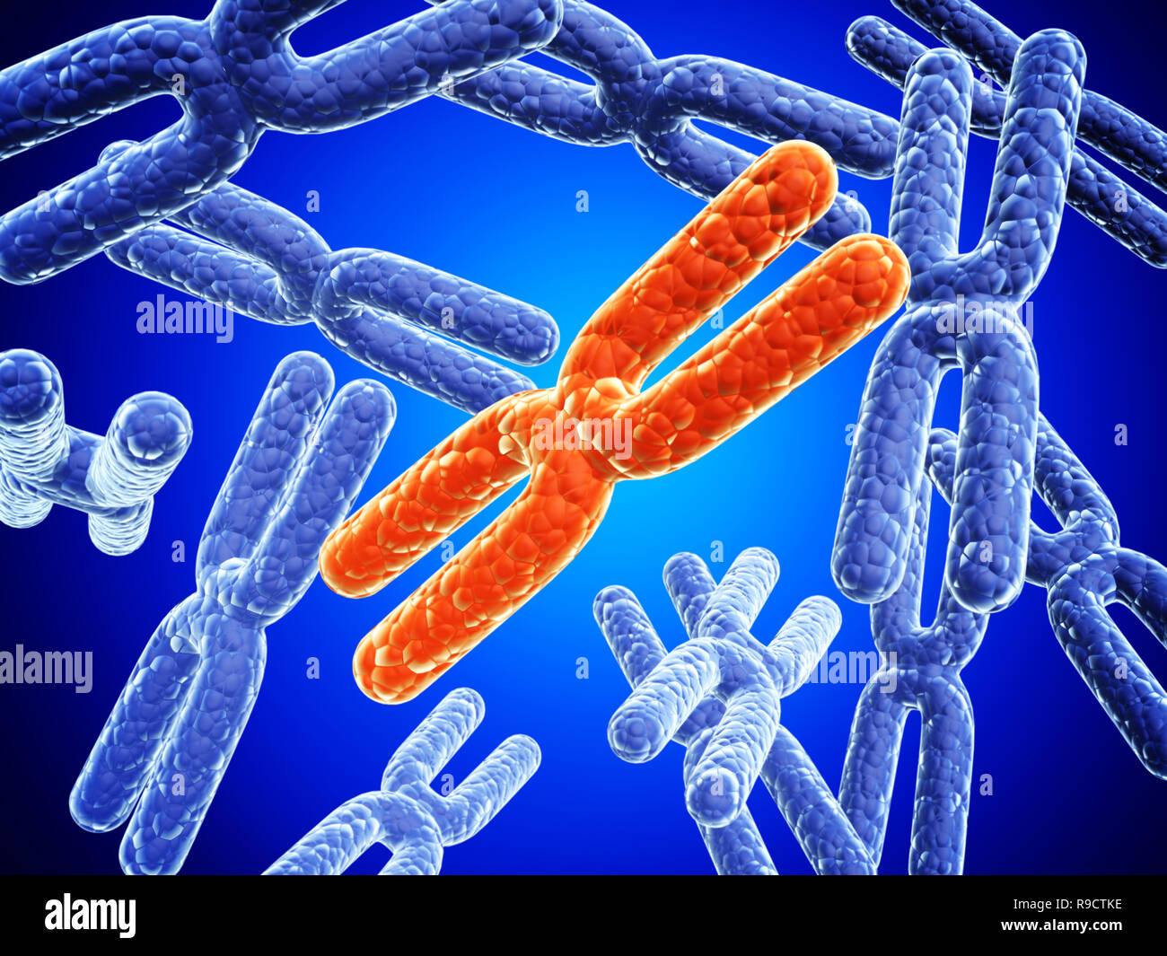 Chromosome Background