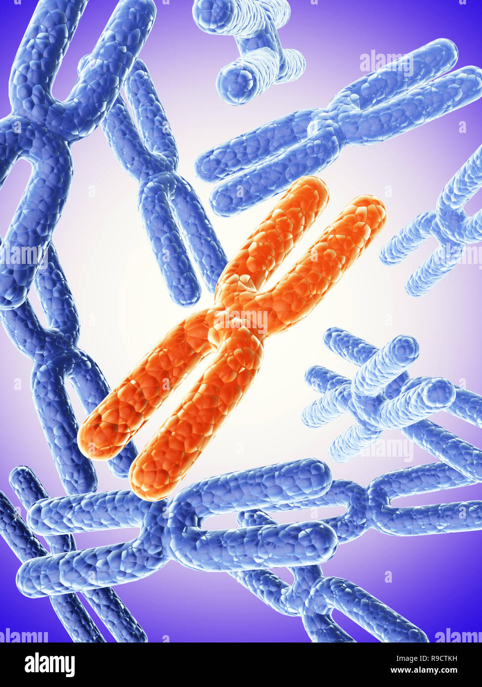 Red and blue X chromosome on abstract background Stock Photo - Alamy