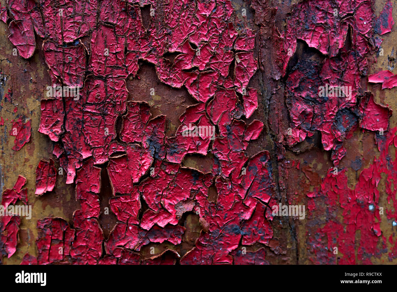 texture of old peeling red paint on the Board. background Stock Photo ...