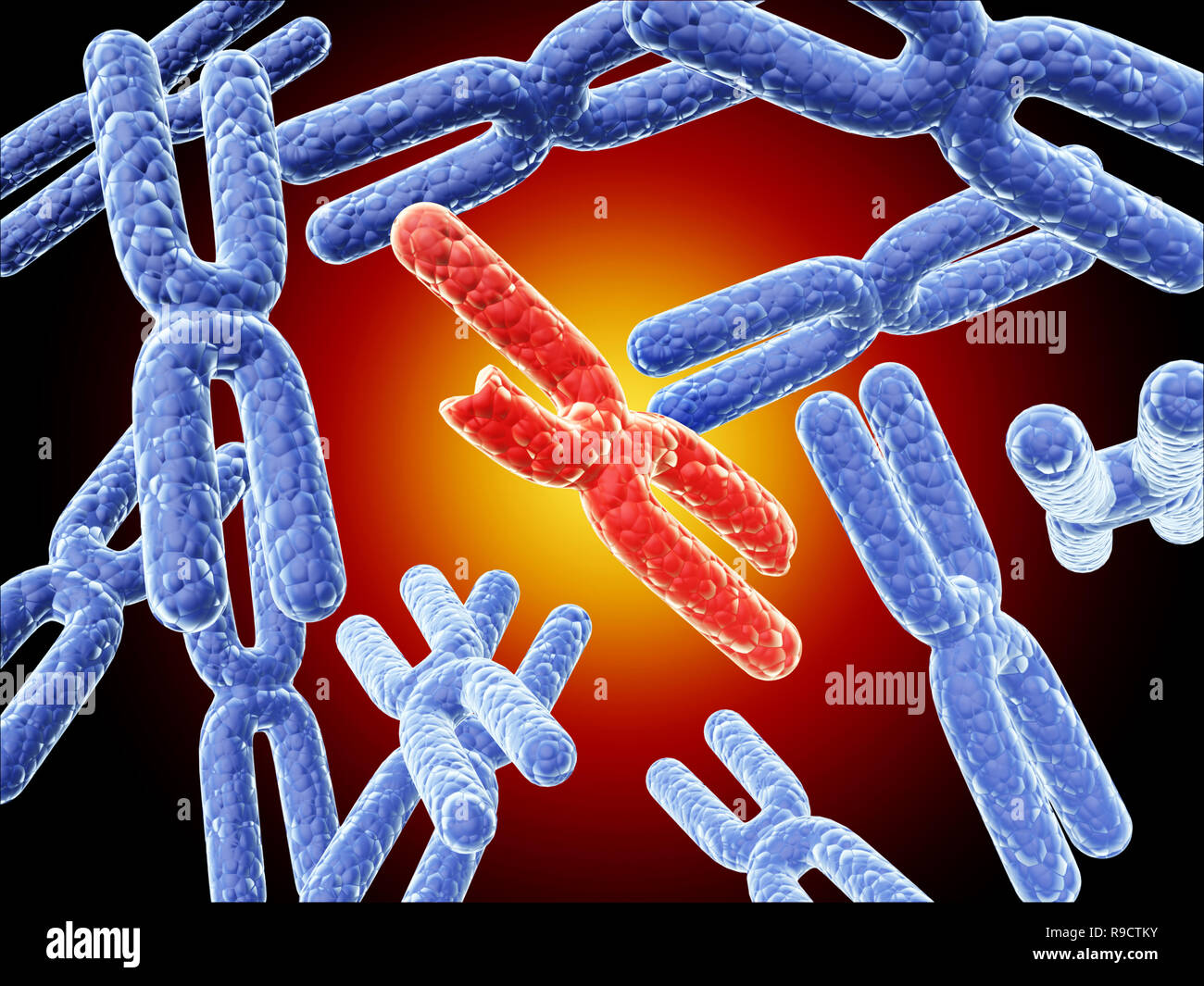 Broken red X chromosome and full blue X chromosomes on abstract ...