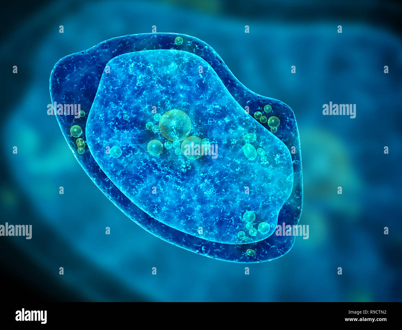 Amoeba on blue background. 3d render Stock Photo - Alamy