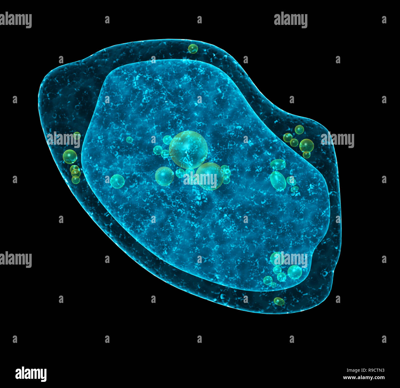 Amoeba on black background. 3d render Stock Photo - Alamy