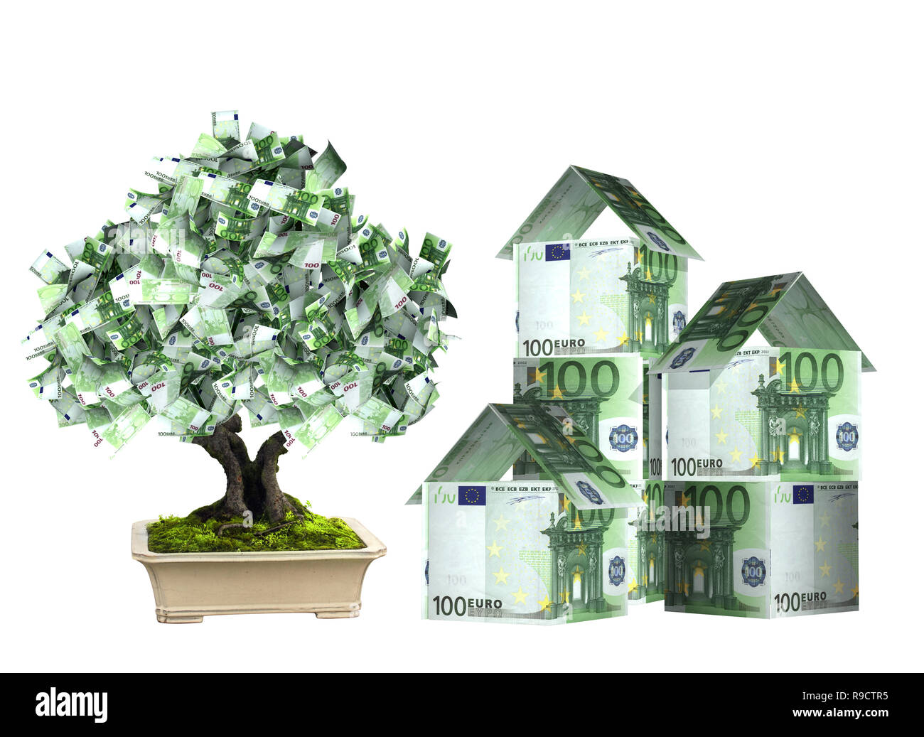 Money Tree Euro