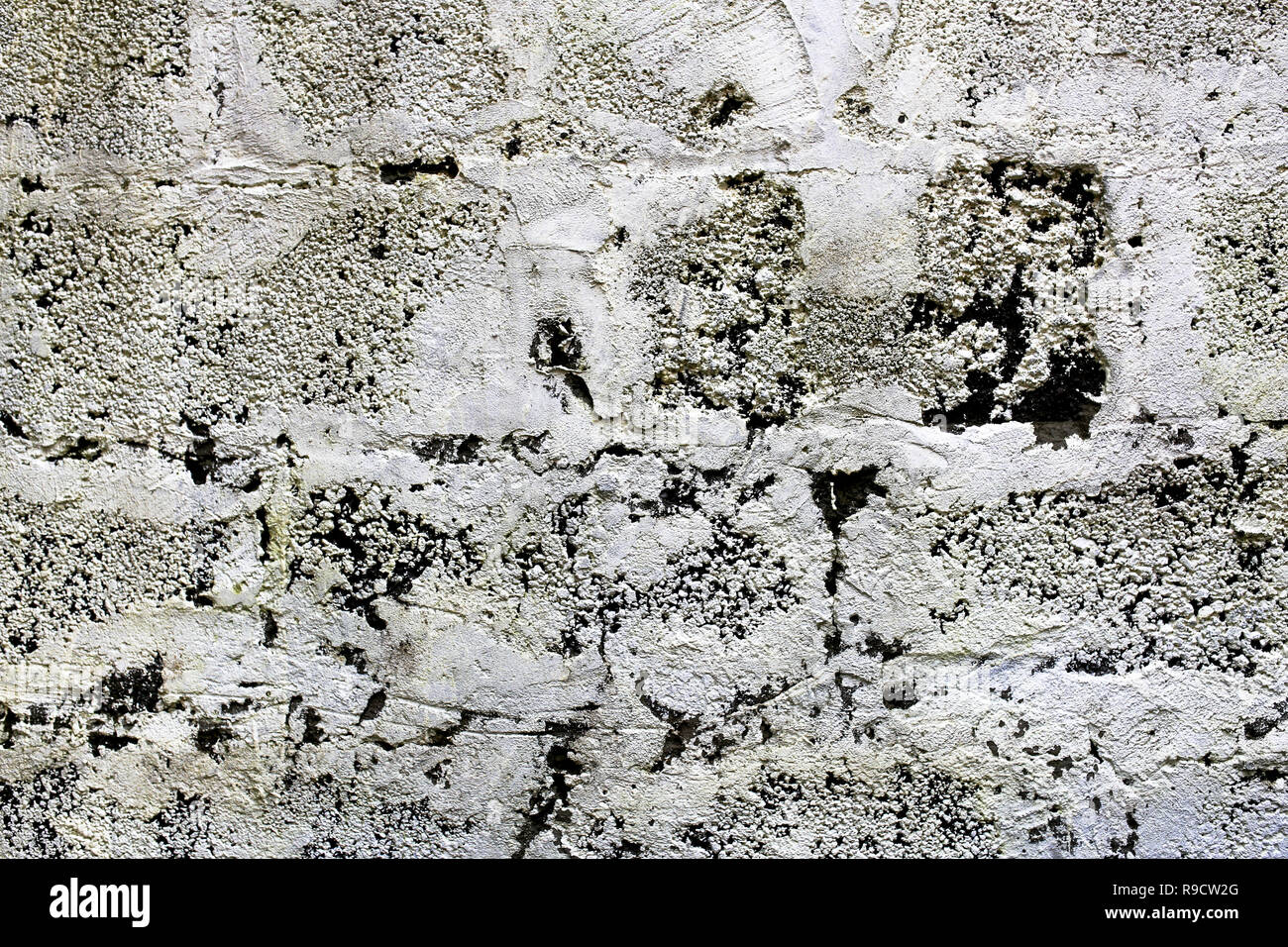 rough gray color wall texture. background for design Stock Photo - Alamy