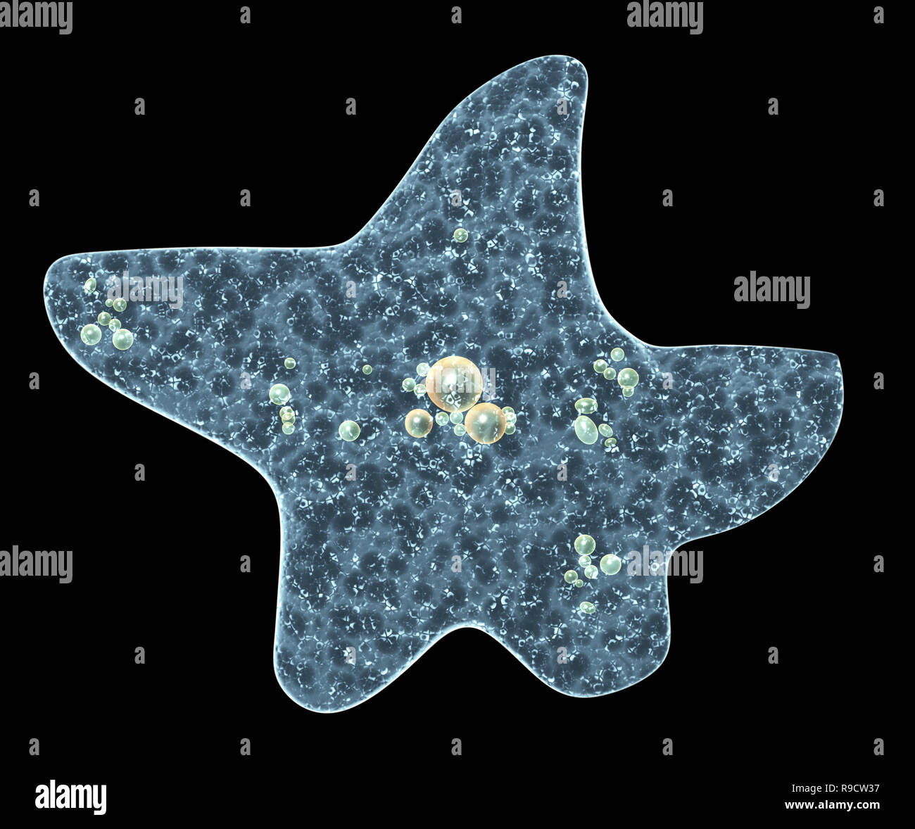 Amoeba on black background. 3d render Stock Photo - Alamy