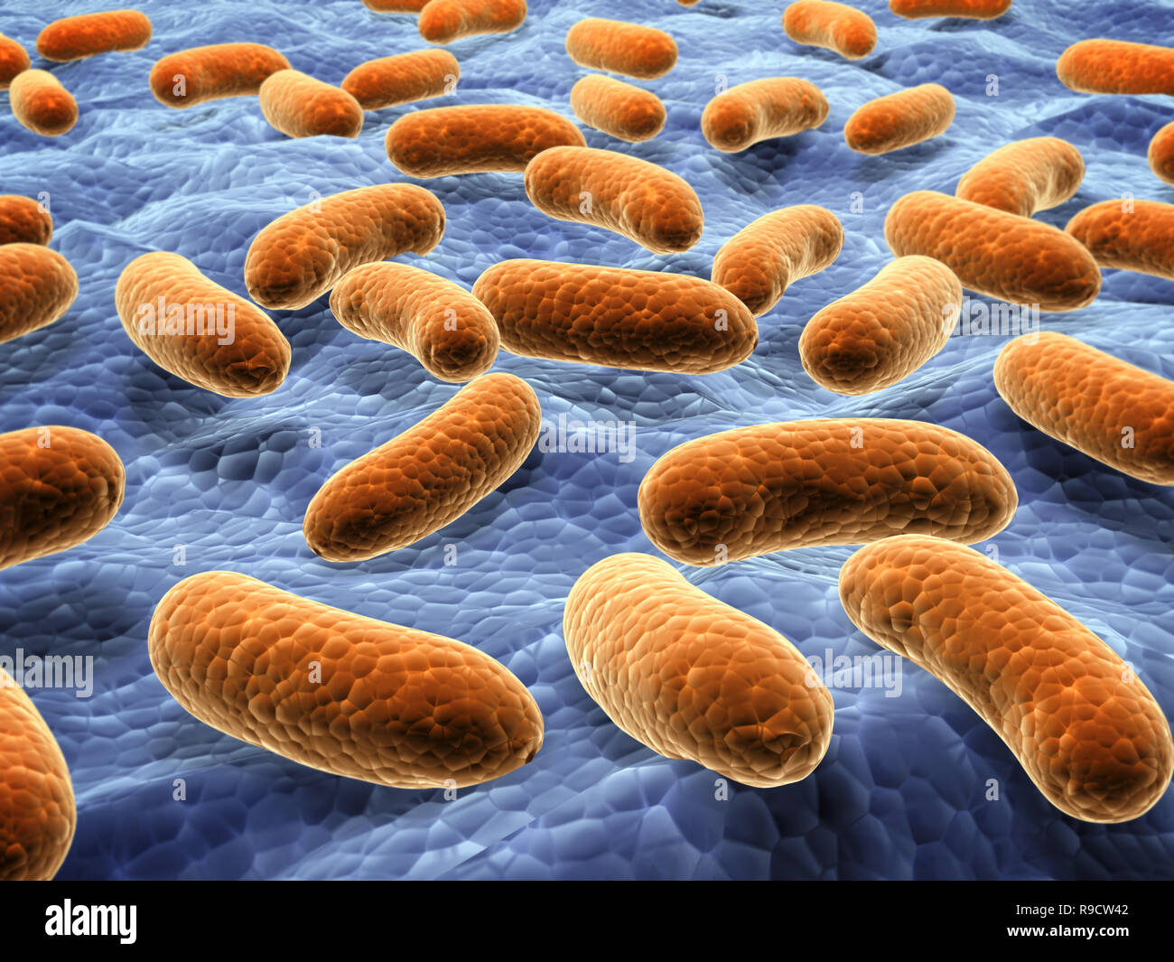 Pathogen bacteria on the surface. 3d render Stock Photo - Alamy
