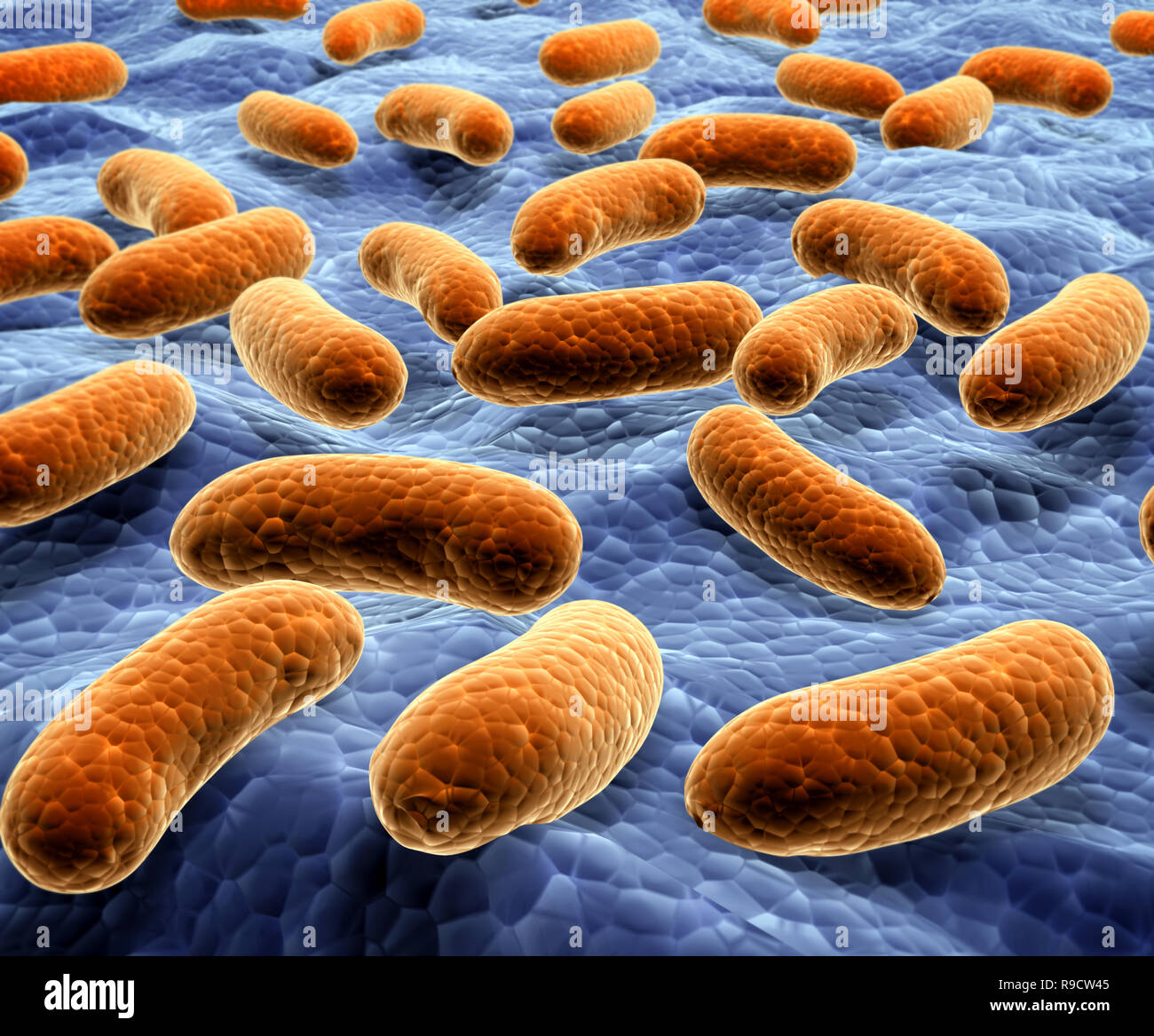 Pathogen bacteria on the surface. 3d render Stock Photo - Alamy