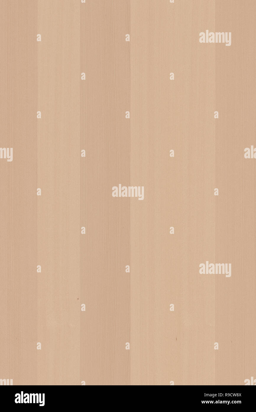 light brown beech tree wood wallpaper structure surface texture ...