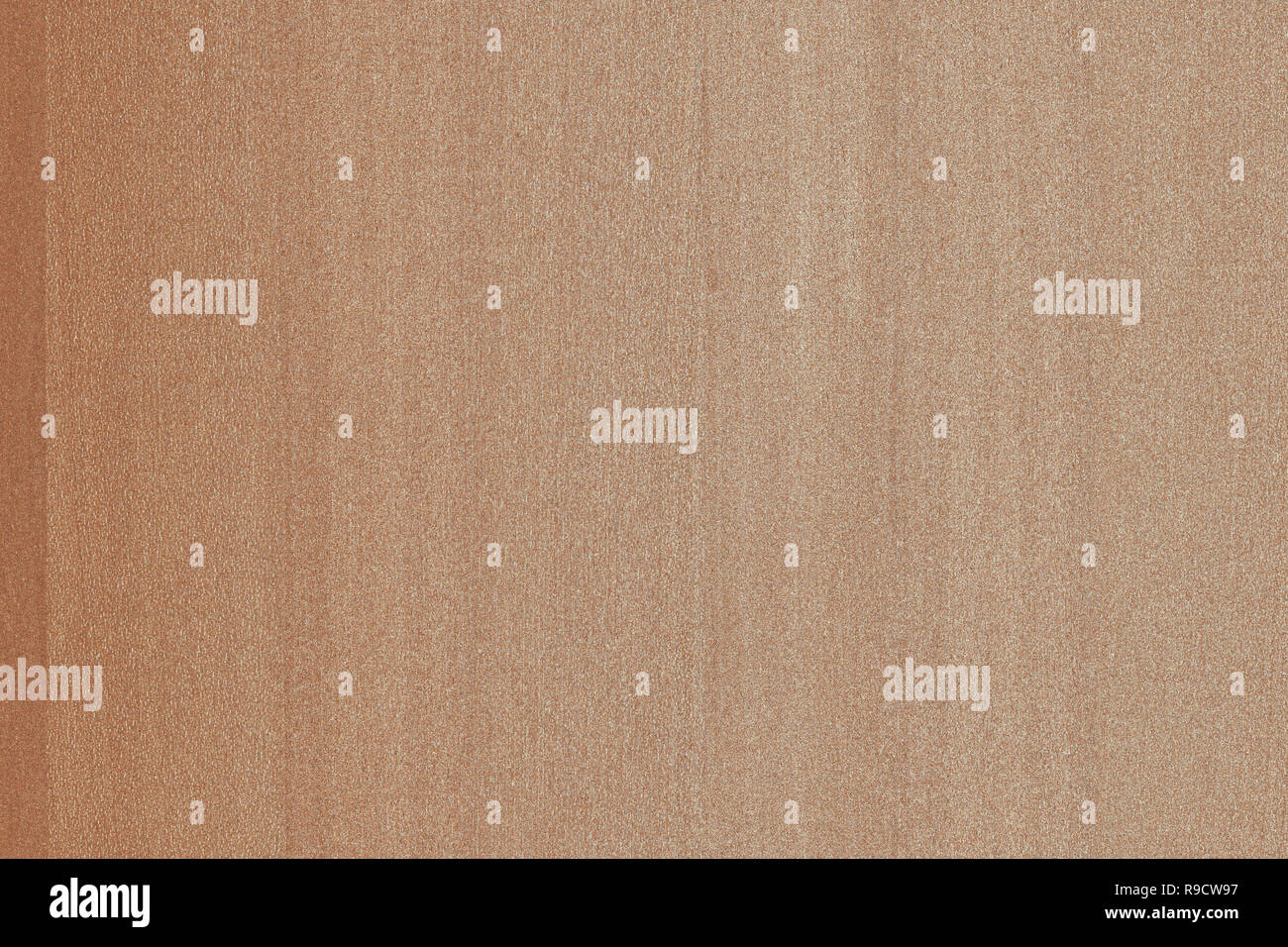 light brown beech tree wood wallpaper structure surface texture ...