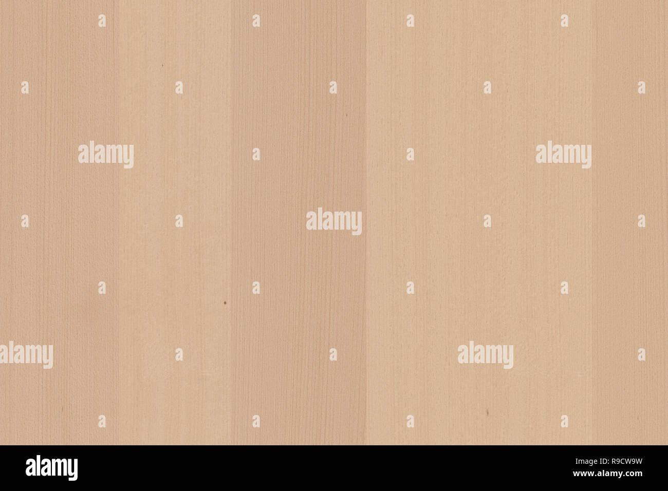 light brown beech tree wood wallpaper structure surface texture ...