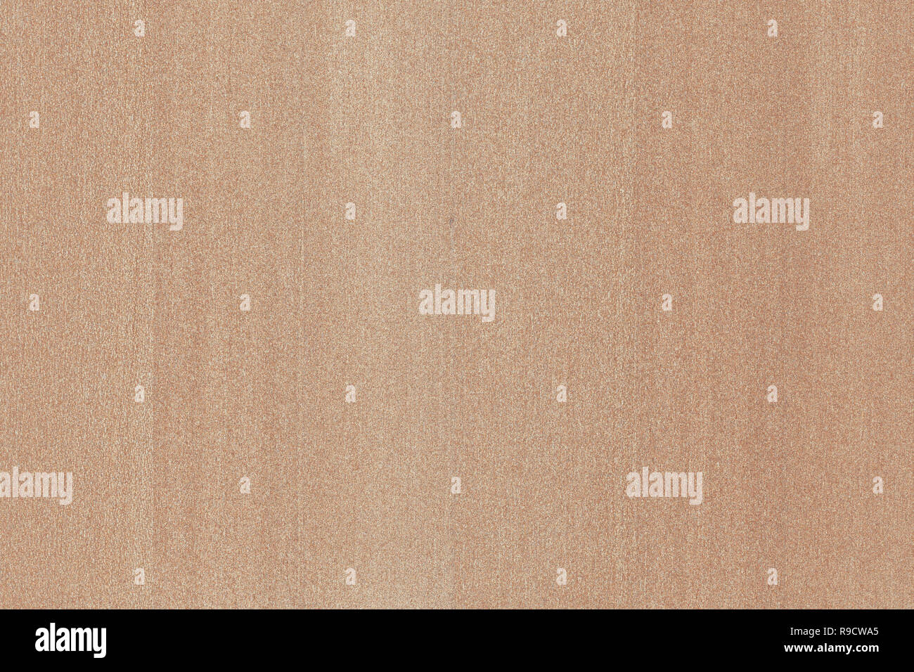 light brown beech tree wood wallpaper structure surface texture ...
