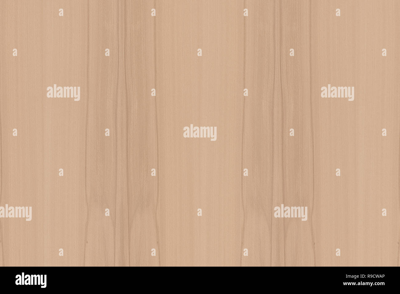 light brown beech tree wood wallpaper structure surface texture ...