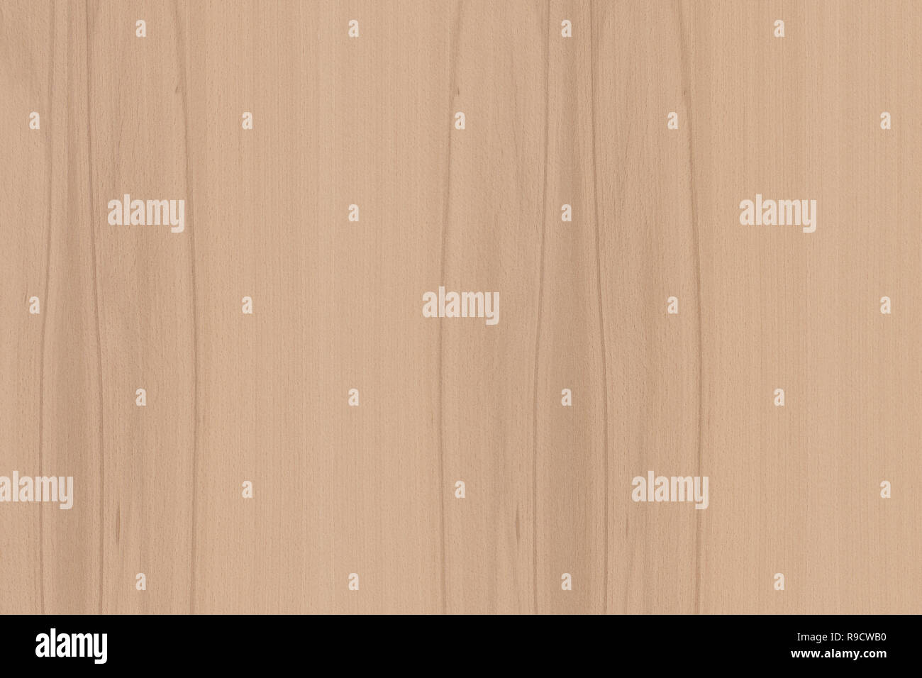 light brown beech tree wood wallpaper structure surface texture ...