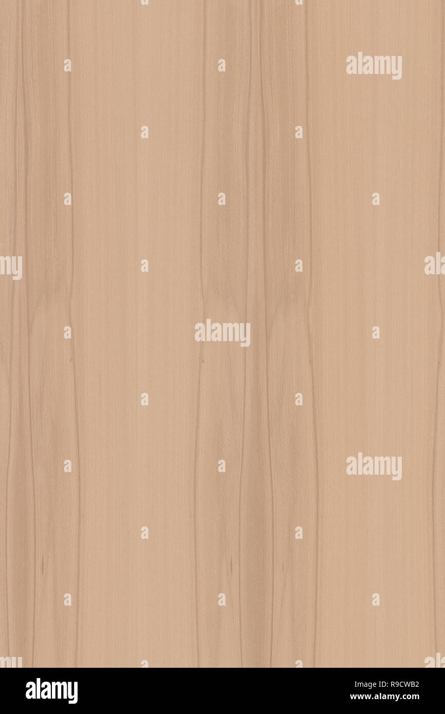 light brown beech tree wood wallpaper structure surface texture ...