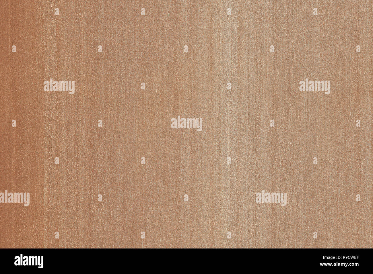 light brown beech tree wood wallpaper structure surface texture ...