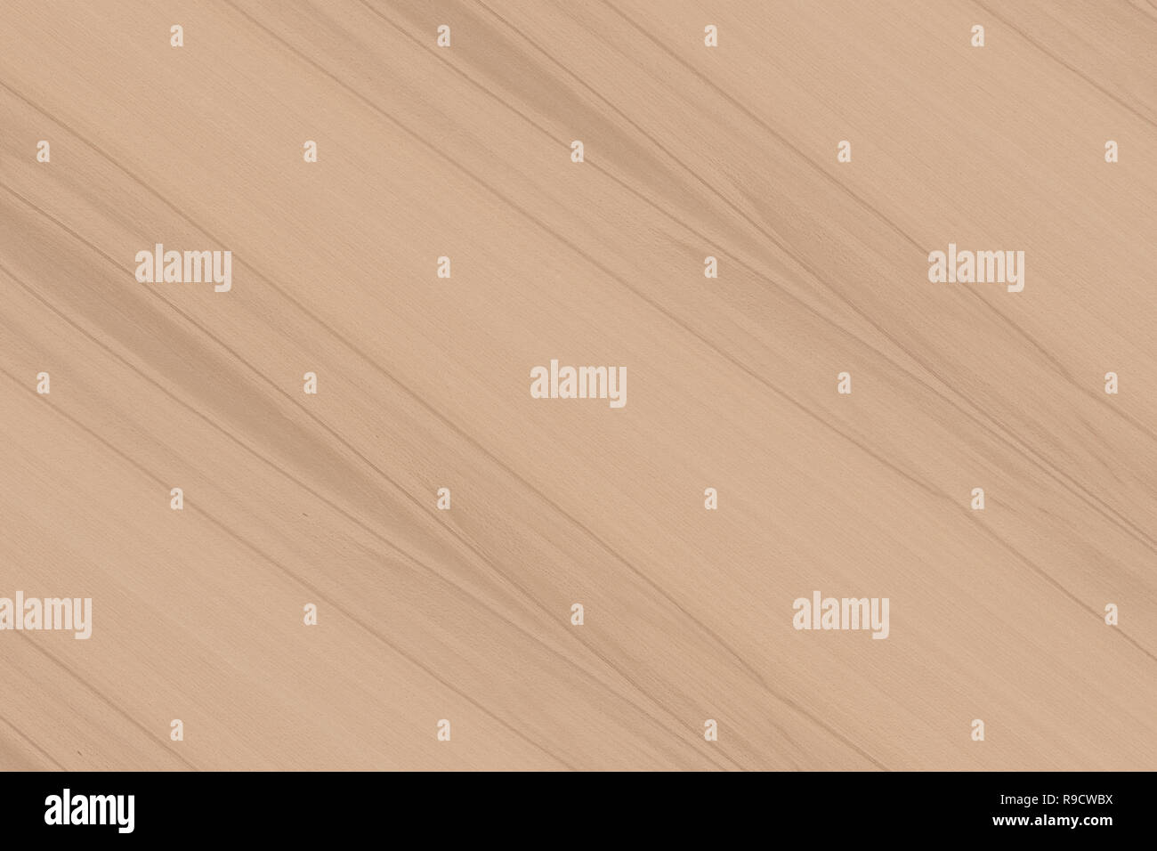 light brown beech tree wood wallpaper structure surface texture ...