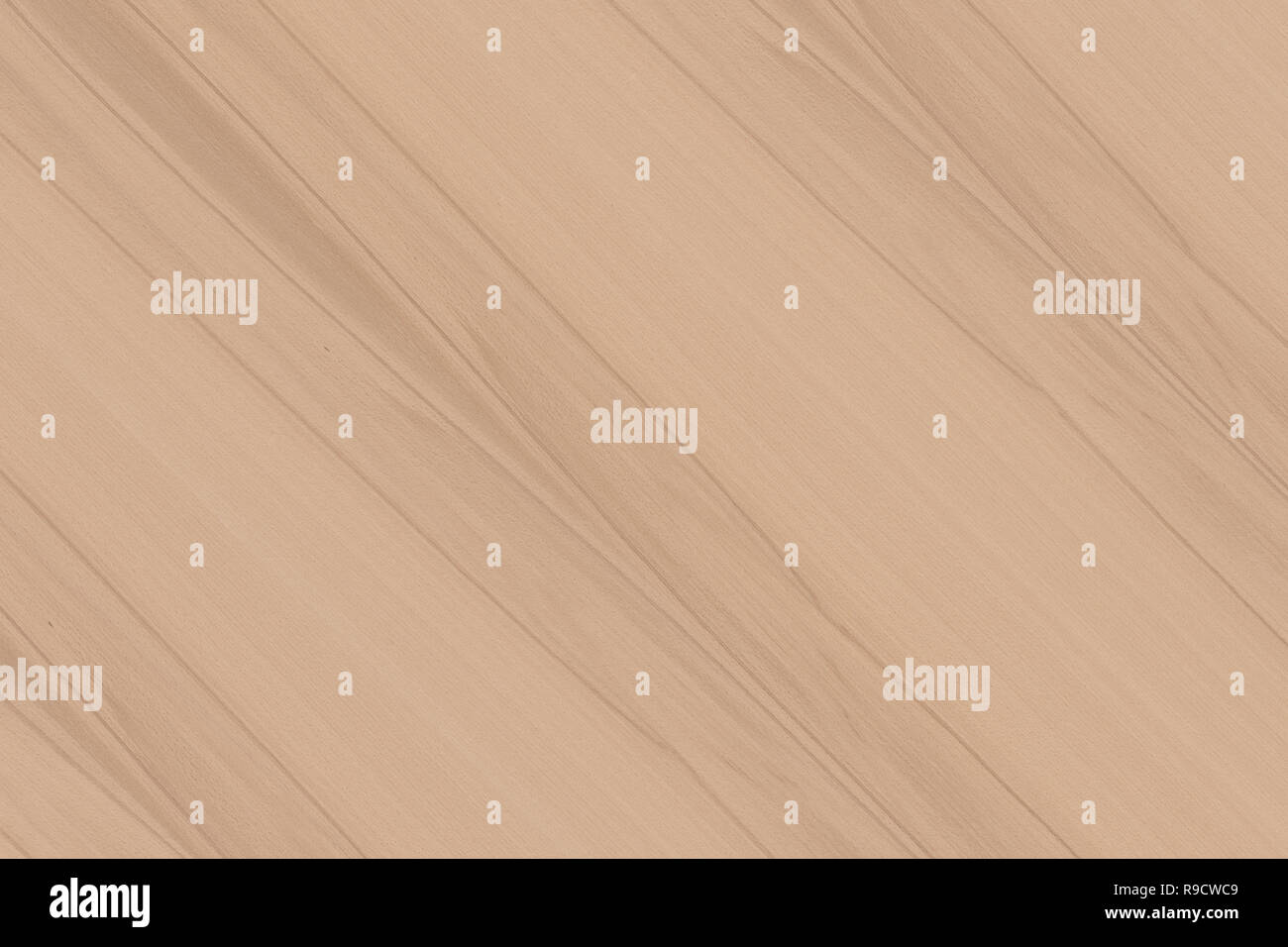 light brown beech tree wood wallpaper structure surface texture ...