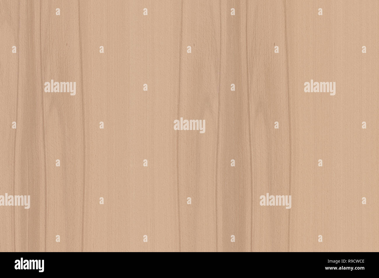 light brown beech tree wood wallpaper structure surface texture ...