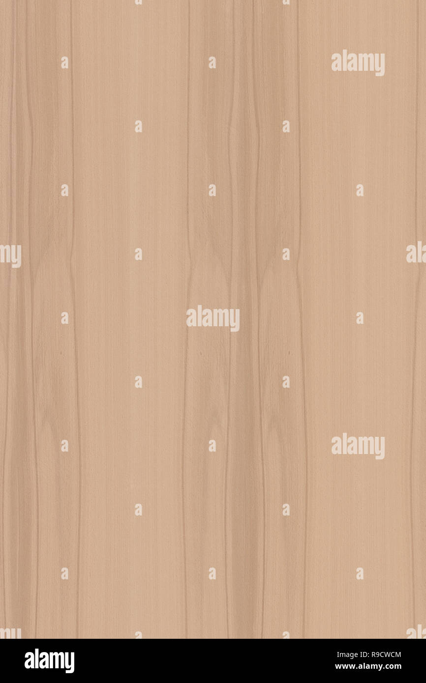 light brown beech tree wood wallpaper structure surface texture ...
