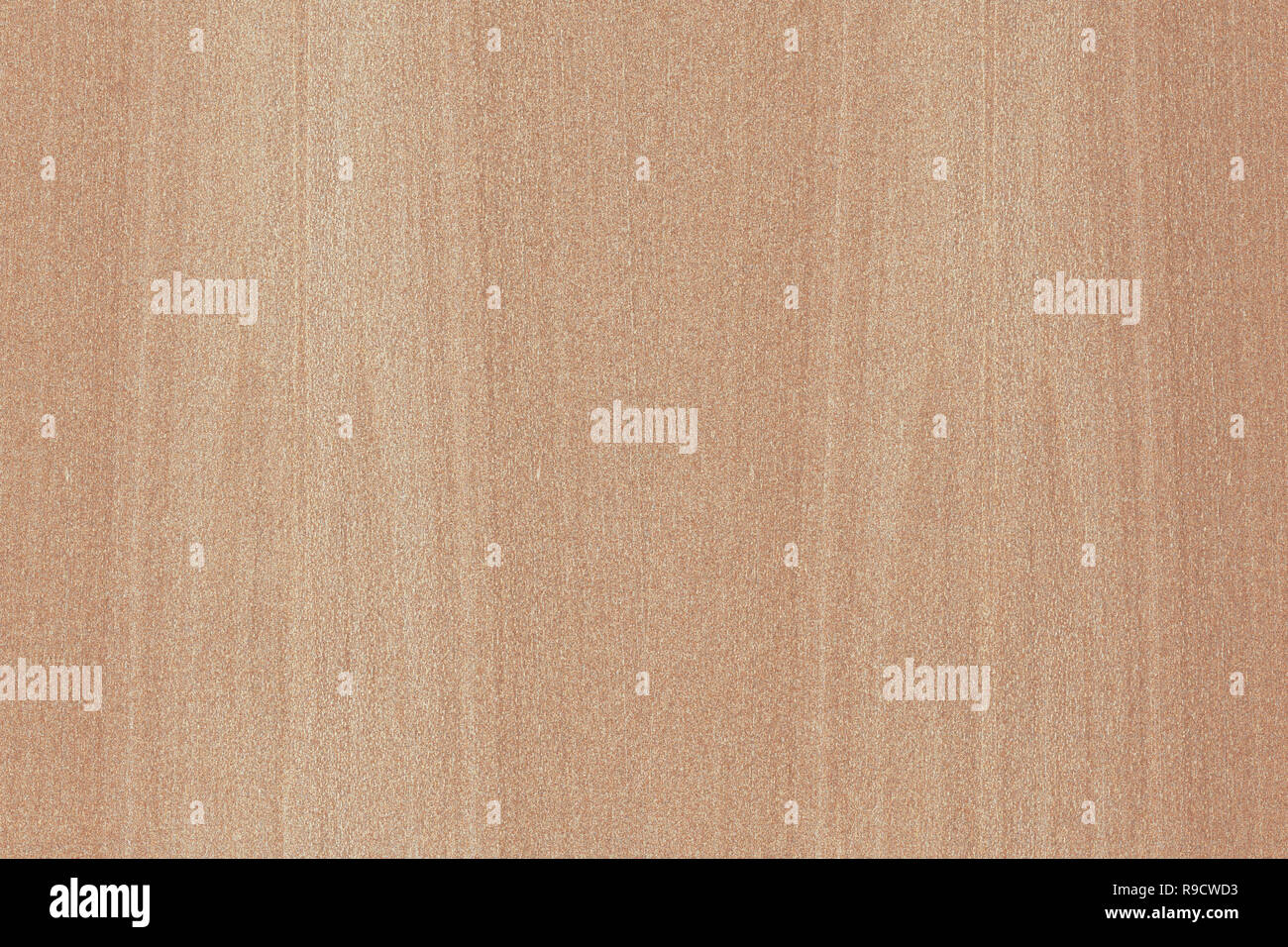 light brown beech tree wood wallpaper structure surface texture ...