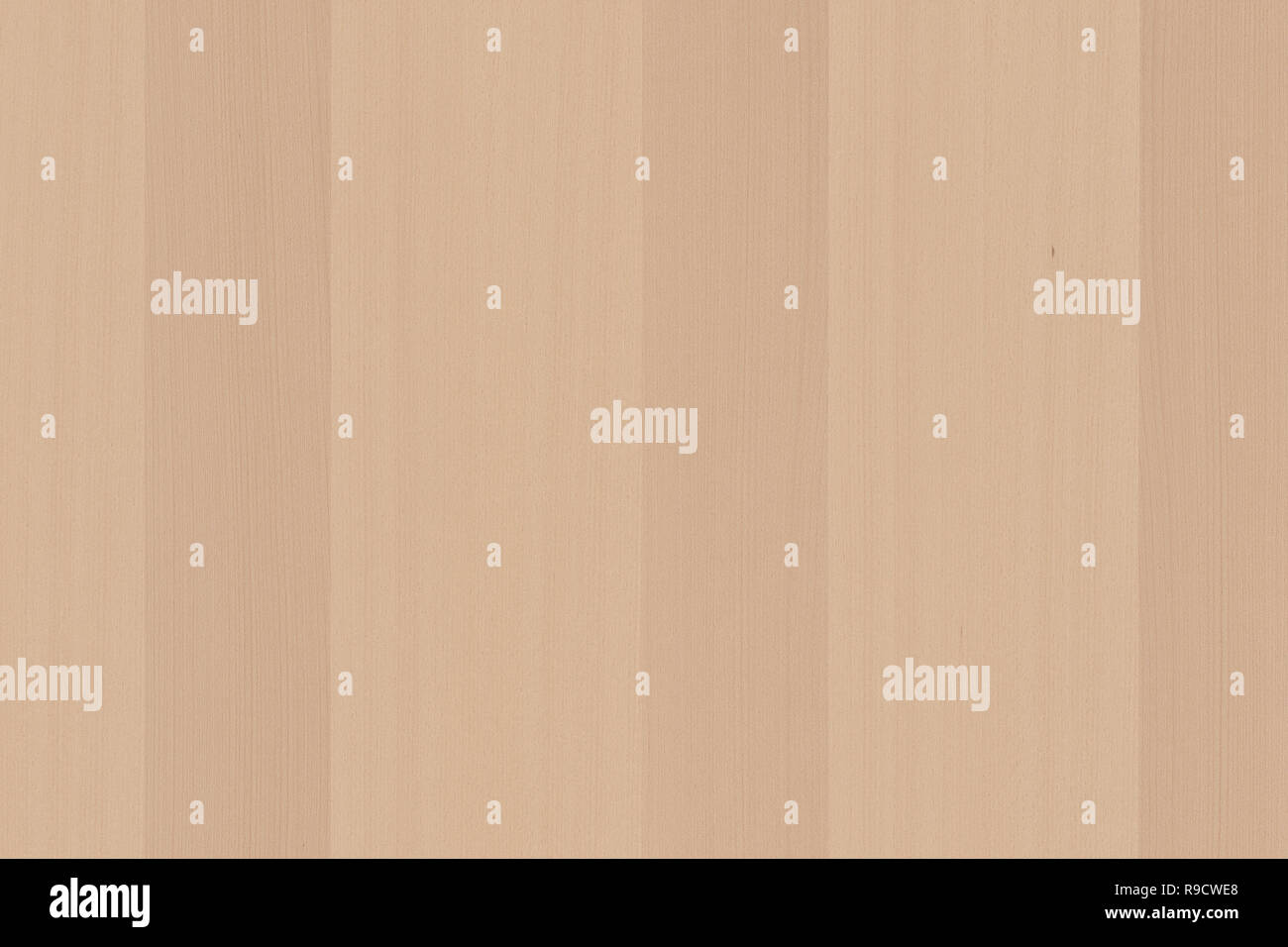 light brown beech tree wood wallpaper structure surface texture ...