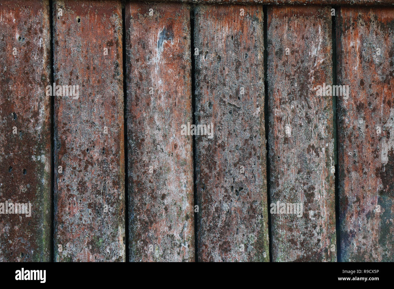 colorful rusty metal iron plate grunge wall background backdrop surface ...