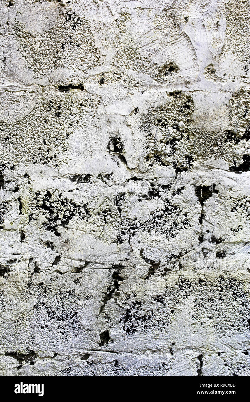 rough gray color wall texture. background for design Stock Photo - Alamy